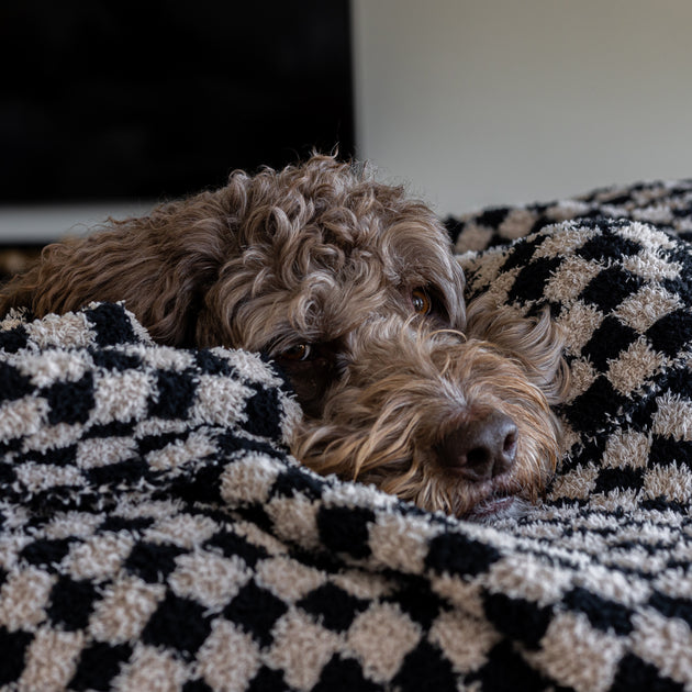 Extended Throw Blankets – Sunset Snuggles